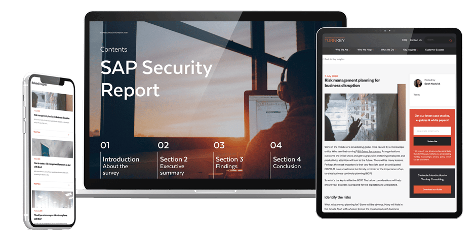 HubSpot Marketing & Sales, CMS, custom reporting & thought leadership for SAP security firm